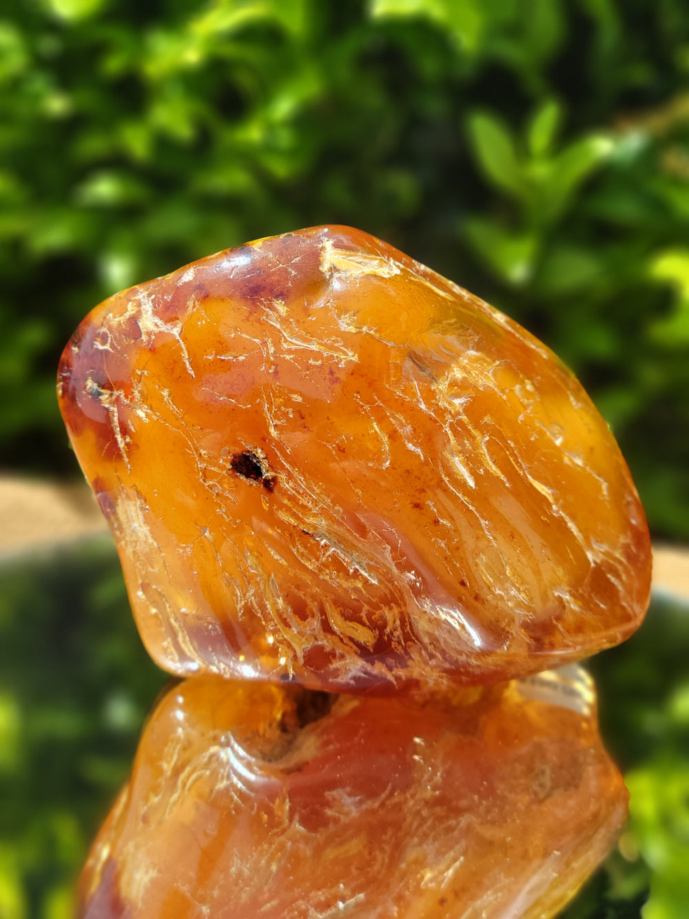 The Kauri Museum Store