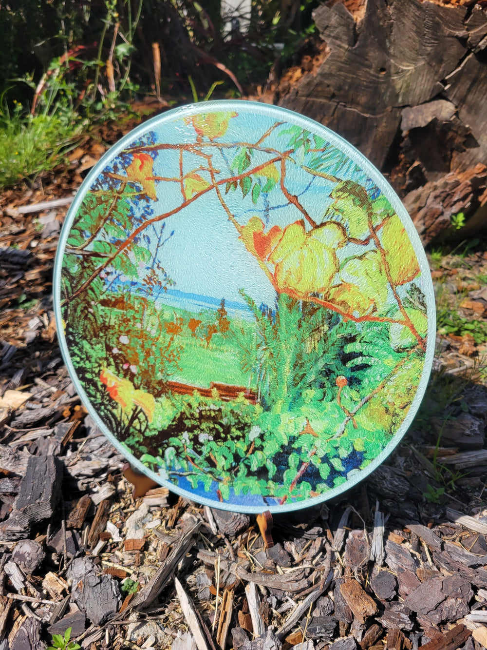 The Kauri Museum Store